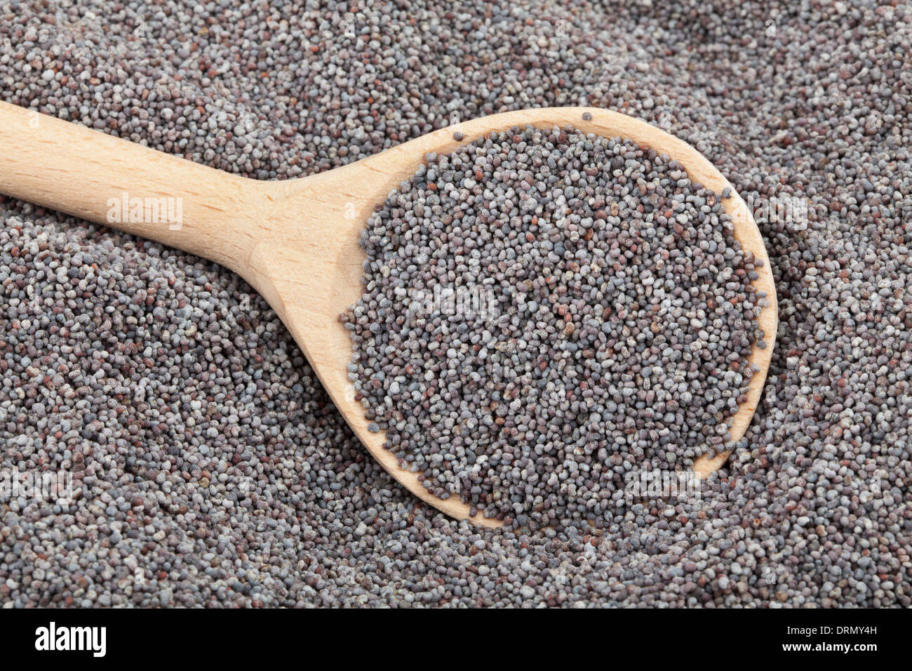 Poppy_seed hi-res stock photography and images - Alamy