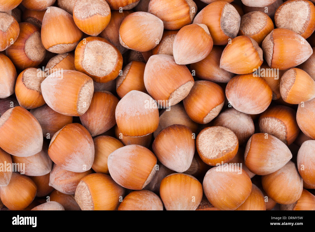 hazelnuts background texture closeup many Stock Photo - Alamy