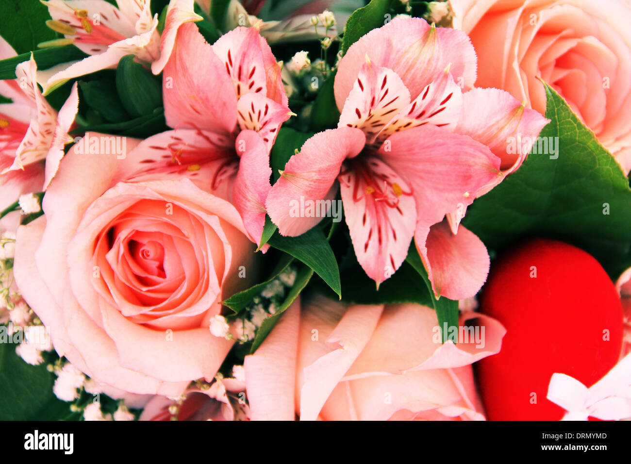 Bunch of different flowers close up background Stock Photo - Alamy