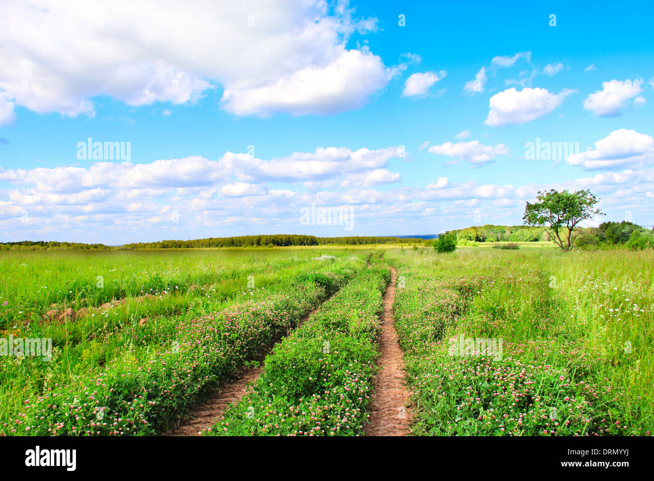 Clover road hi-res stock photography and images - Alamy