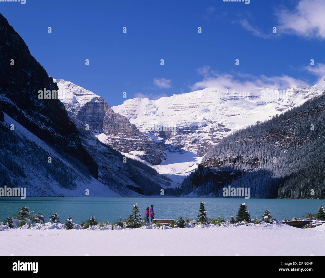 Banff National Park; Lake Louise with tourists Stock Photo - Alamy