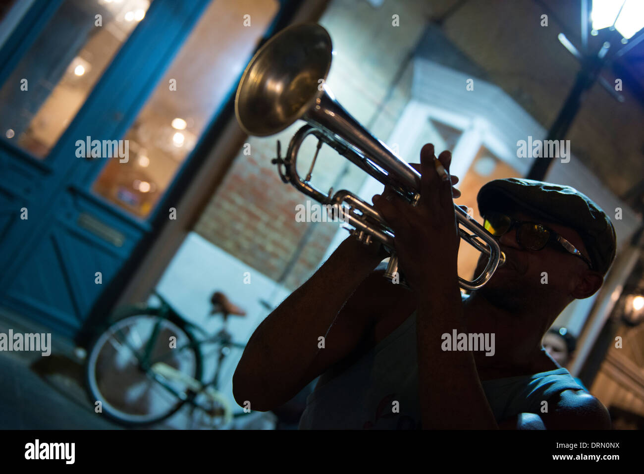 Royal Trumpet Stock Photos & Royal Trumpet Stock Images - Alamy
