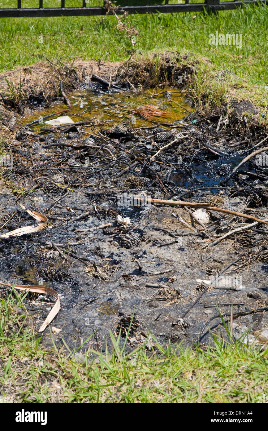 La Brea Tar Pits, Los Angeles, CA, California Stock Photo - Alamy