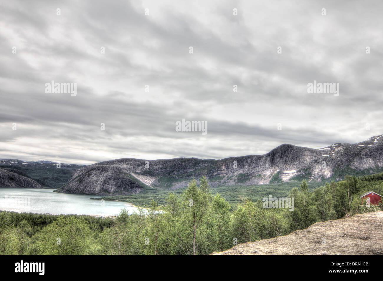 Northern Norway landscape with fjord, mountains and forest Stock Photo ...