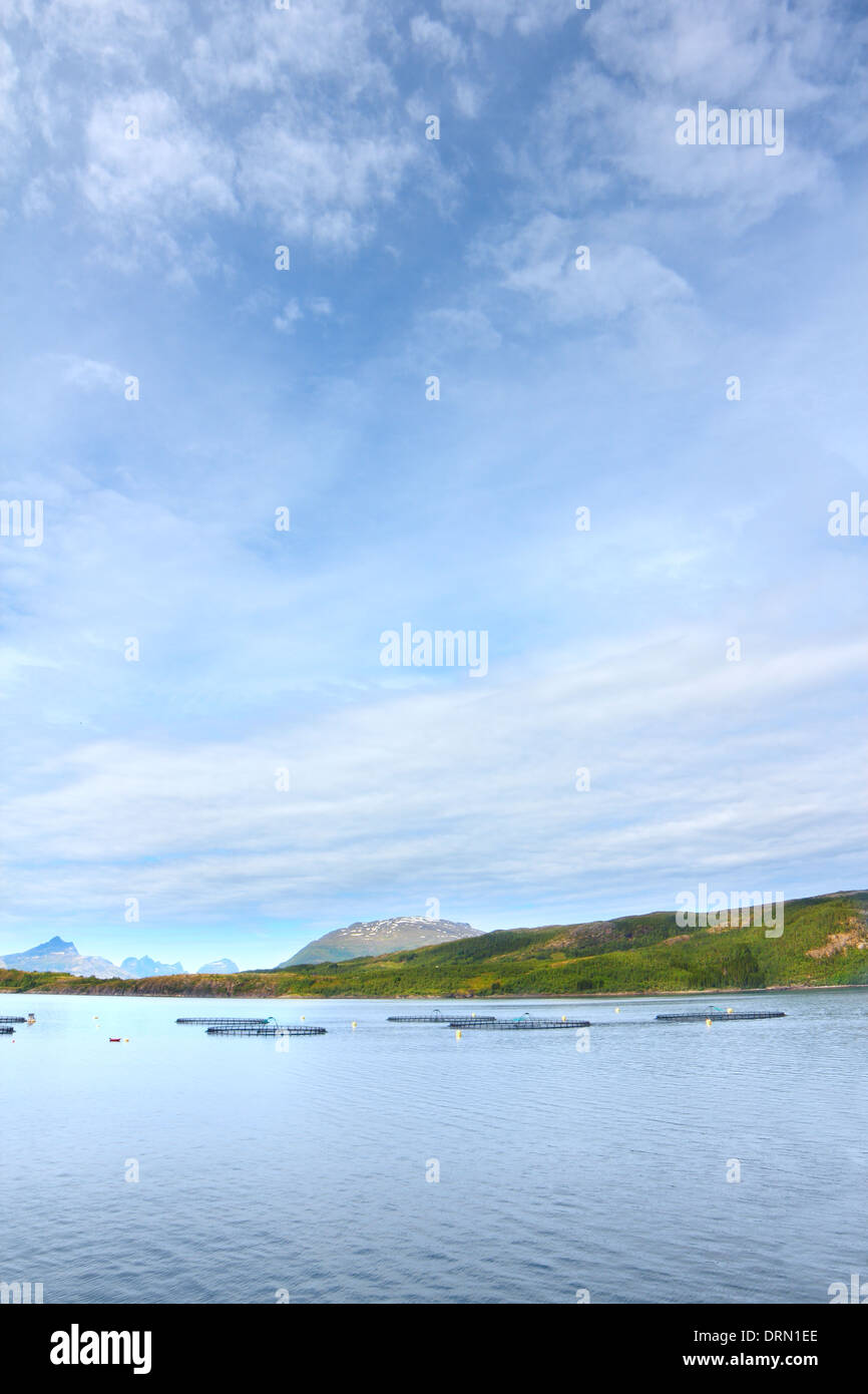 Northern Norway landscape with fjord, mountains and forest Stock Photo ...