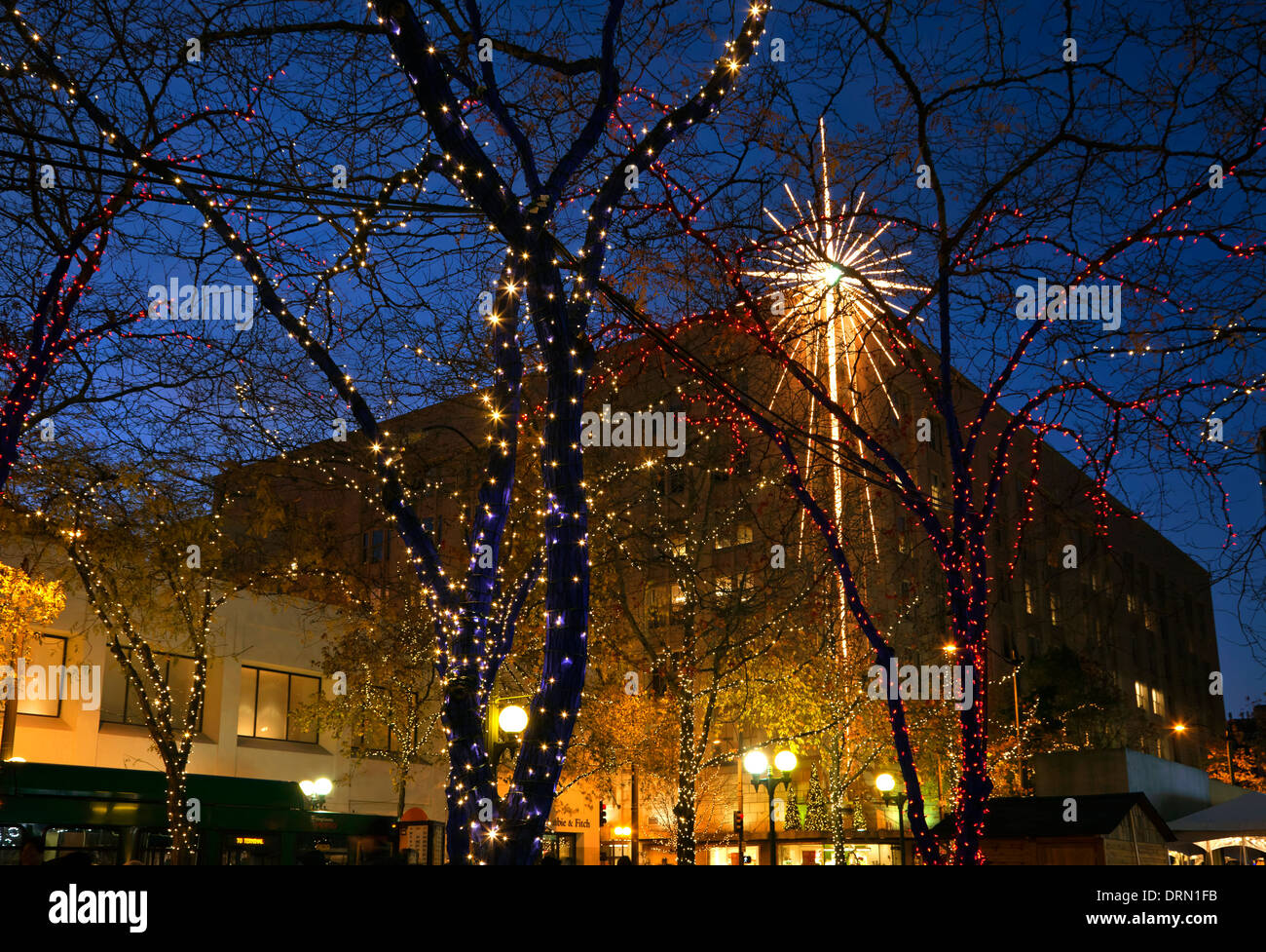 WASHINGTON - Trees decorated with Christmas lights and the Macy Star ...