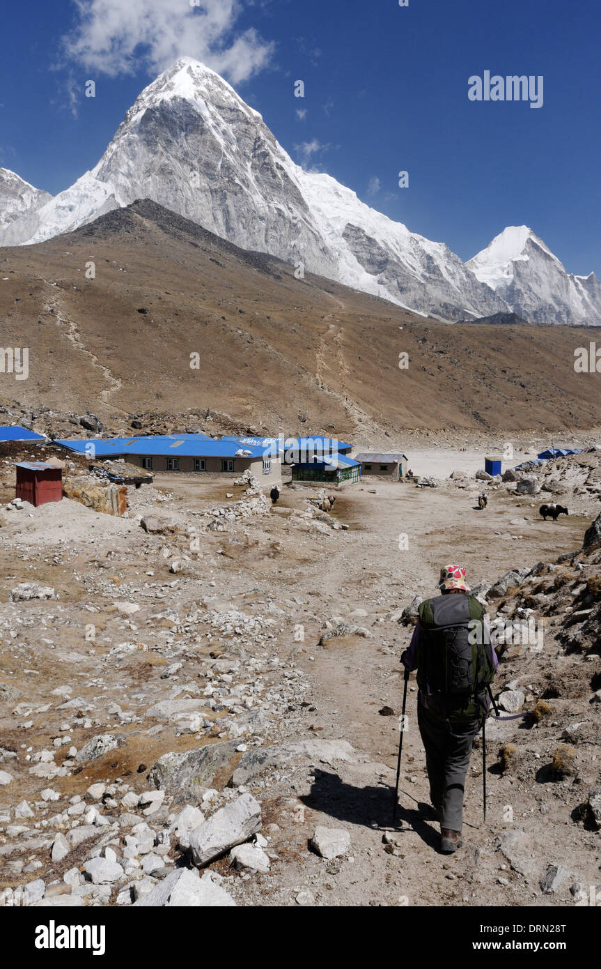 A lady trekker arriving at Gorak Shep, the last point on the Everest ...
