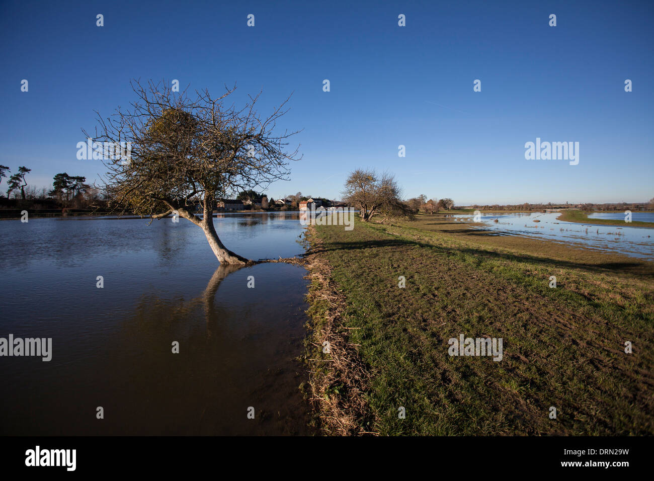 The river Parrett and floods at Stathe near Burrowbrige on the Somerset ...