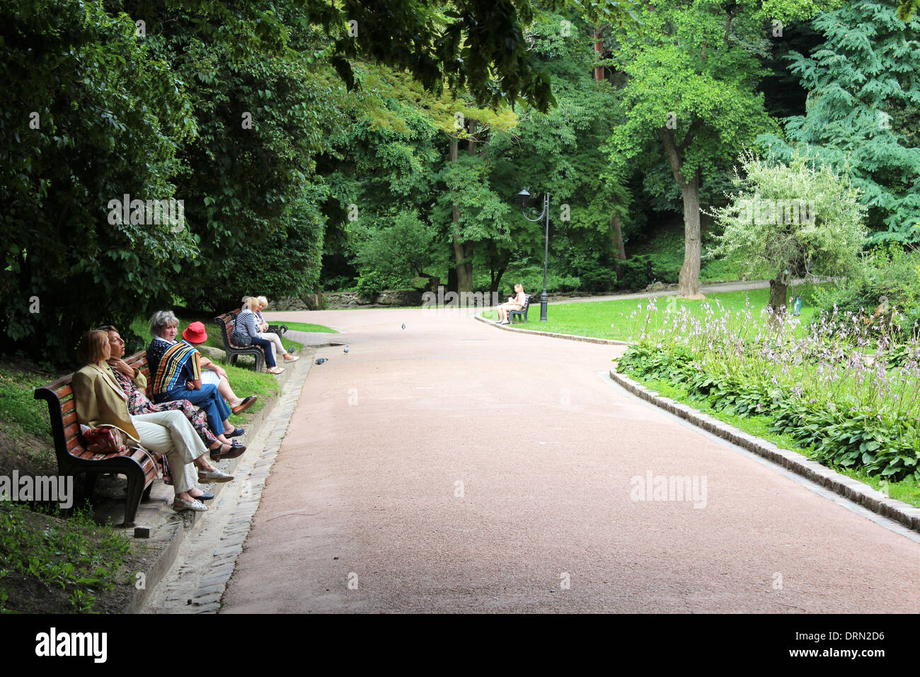 image of people having a rest in park with greater trees Stock Photo ...