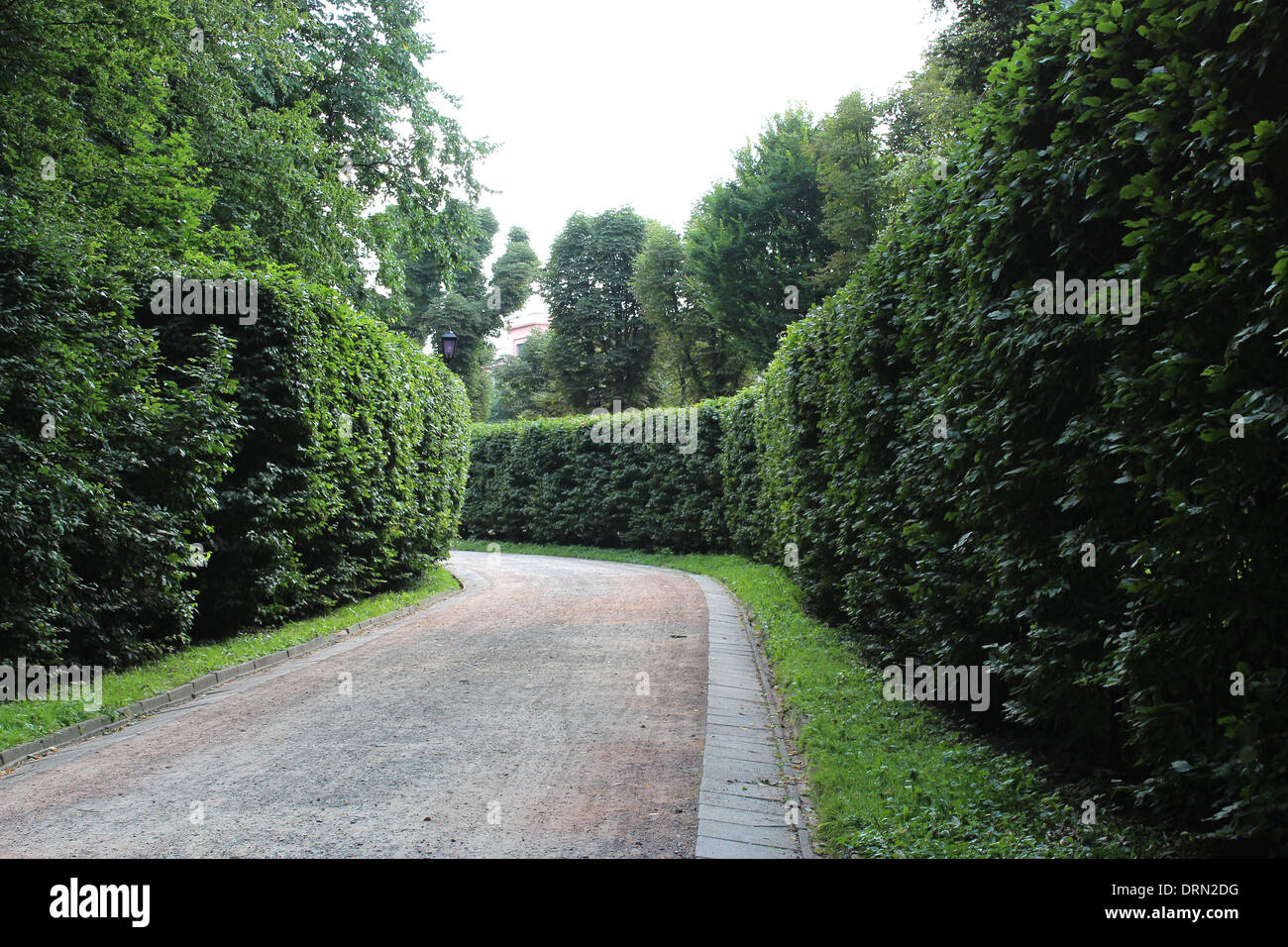 Beautiful park with nice promenade path and high green bushes Stock ...
