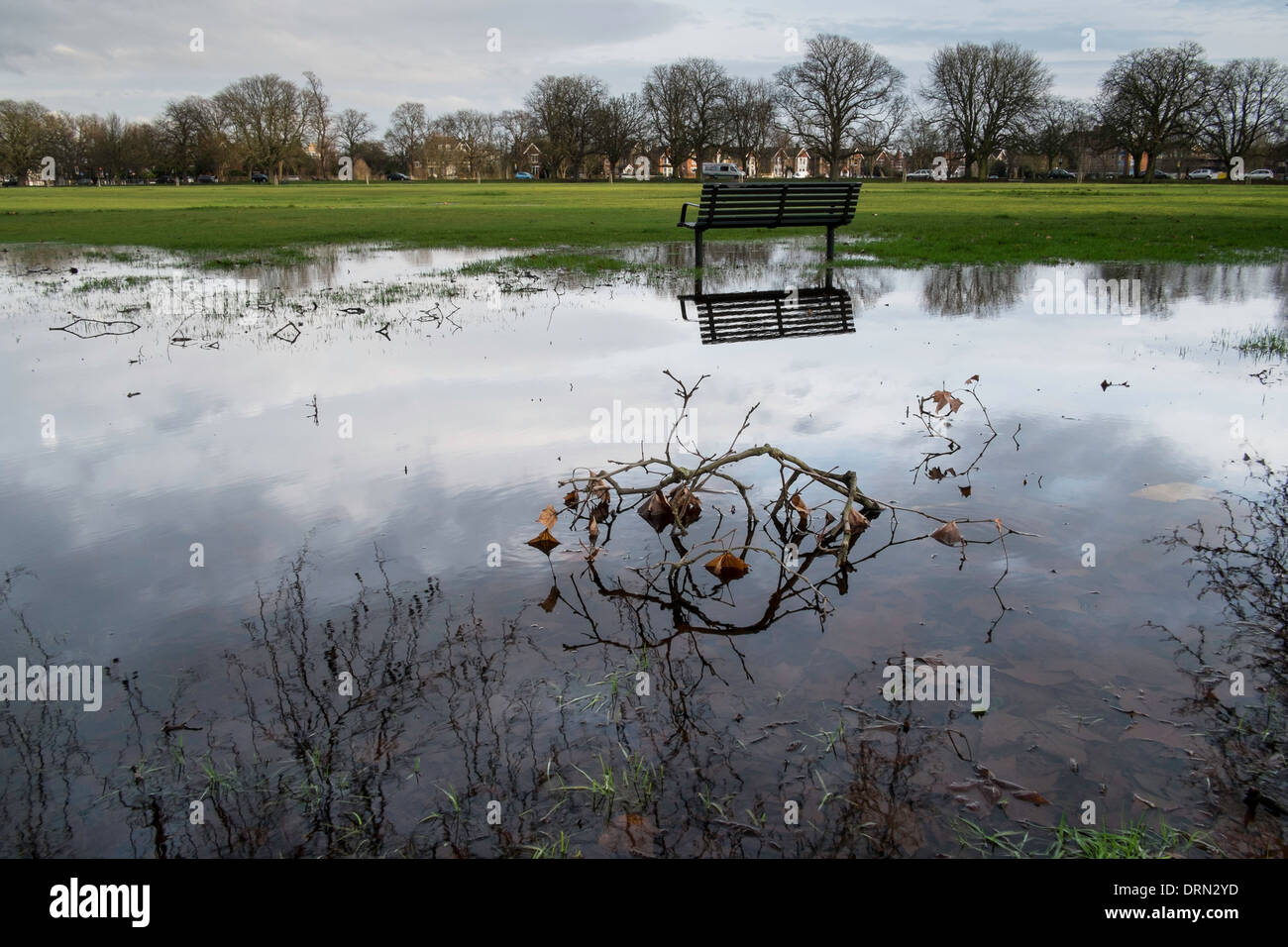Smart city rain garden hi-res stock photography and images - Alamy