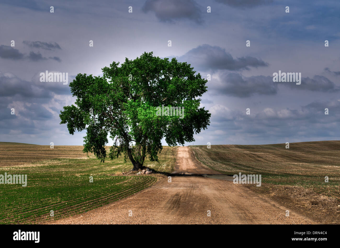Beautiful prairies hi-res stock photography and images - Alamy