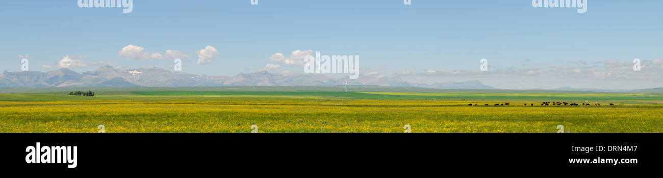 Farm country in the foothills of the rocky mountains, Alberta Canada ...