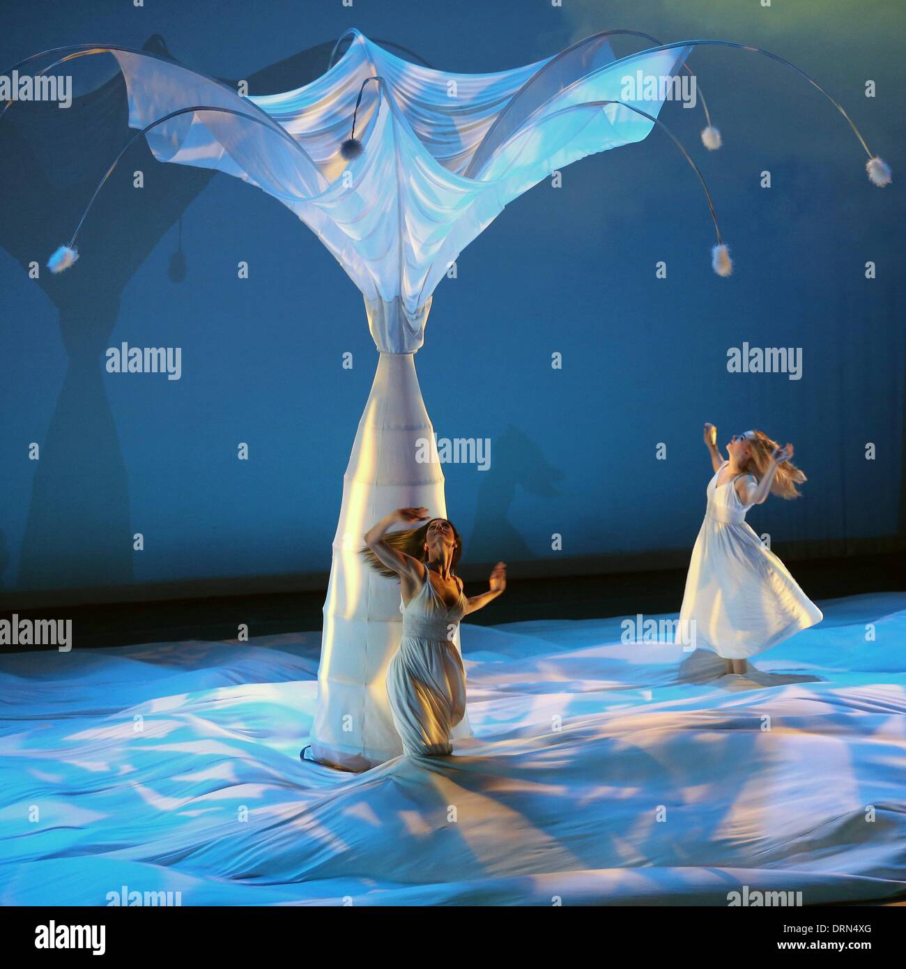 Momix botanica hi-res stock photography and images - Alamy