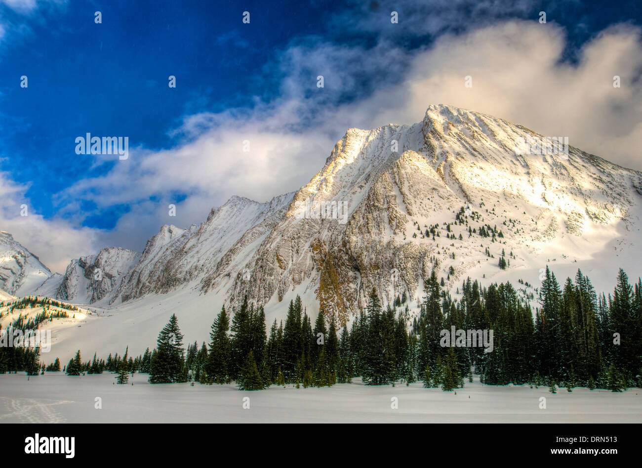Ice trees mountain kananaskis hi-res stock photography and images - Alamy