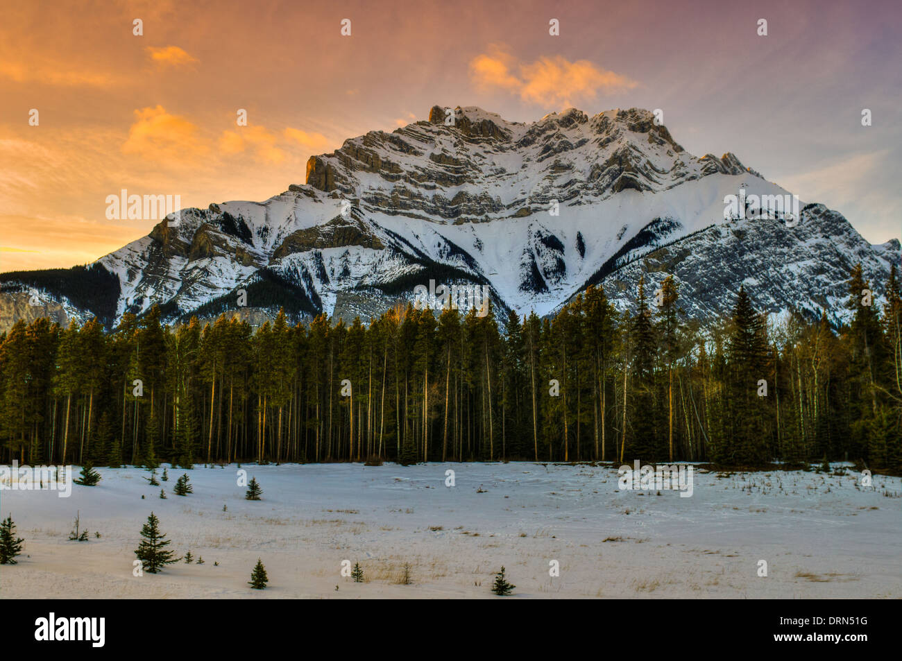 Ice trees mountain kananaskis hi-res stock photography and images - Alamy