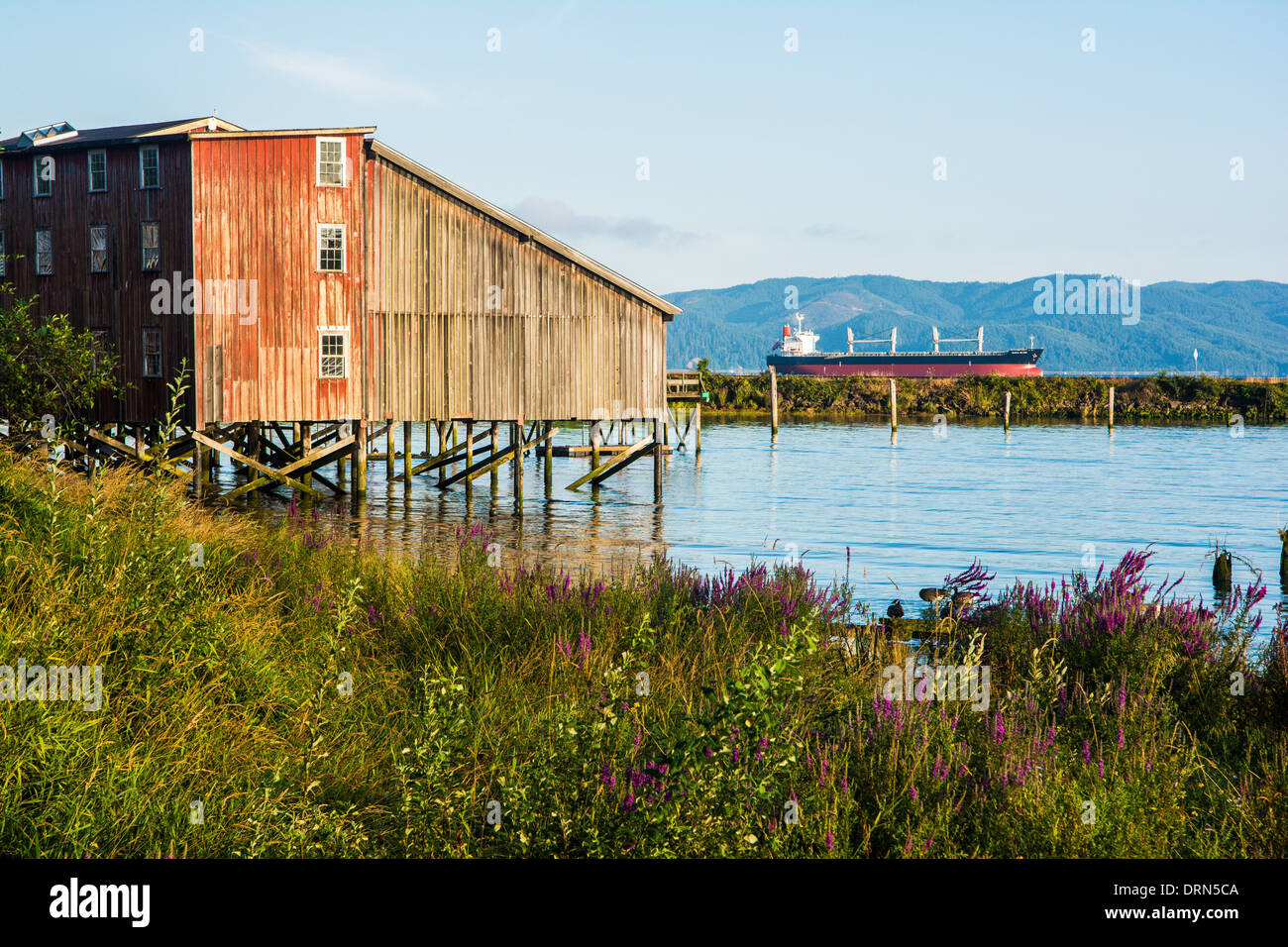 Old cannery building, Columbia River, Astoria, Oregon, USA Stock Photo ...