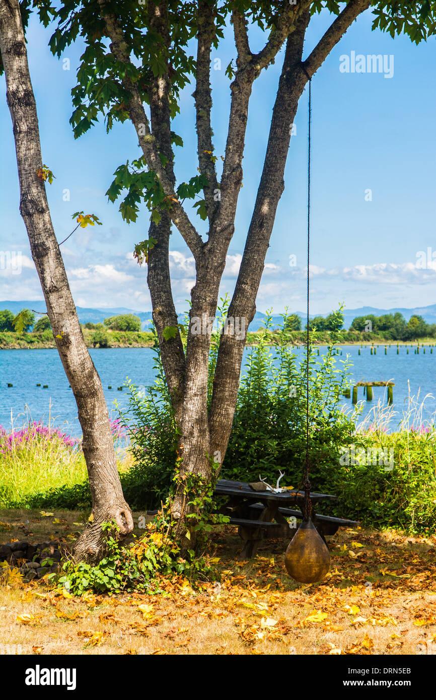 Tree with rope swing hi-res stock photography and images - Alamy