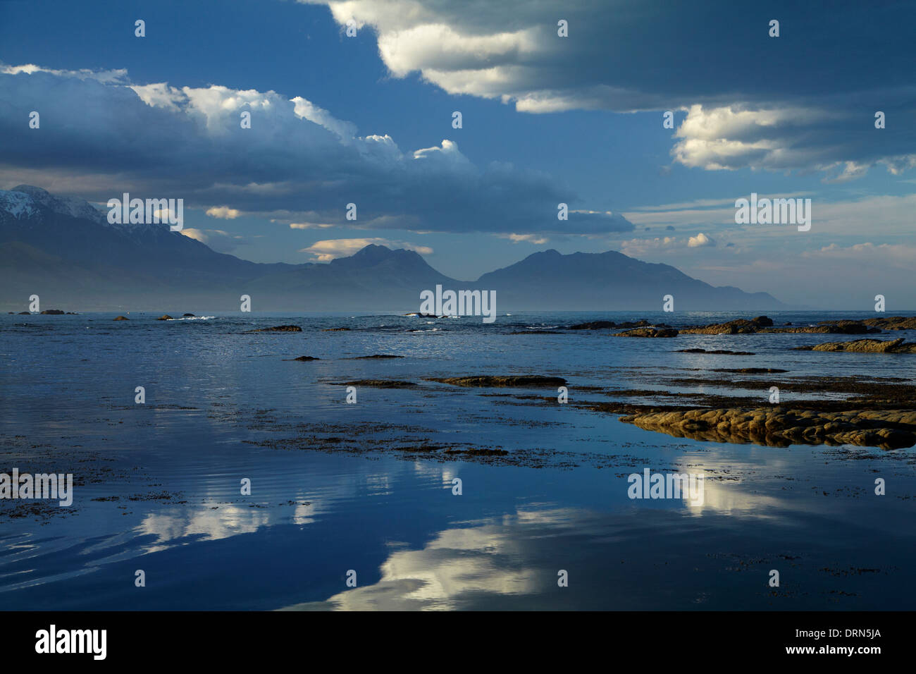 Seaward Kaikoura Ranges and clouds reflected in coastal tidal pools ...
