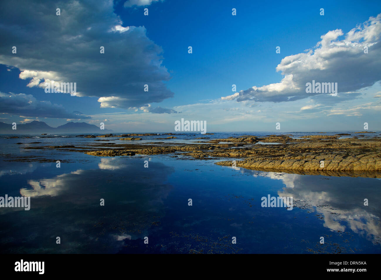 Seaward Kaikoura Ranges and clouds reflected in coastal tidal pools ...