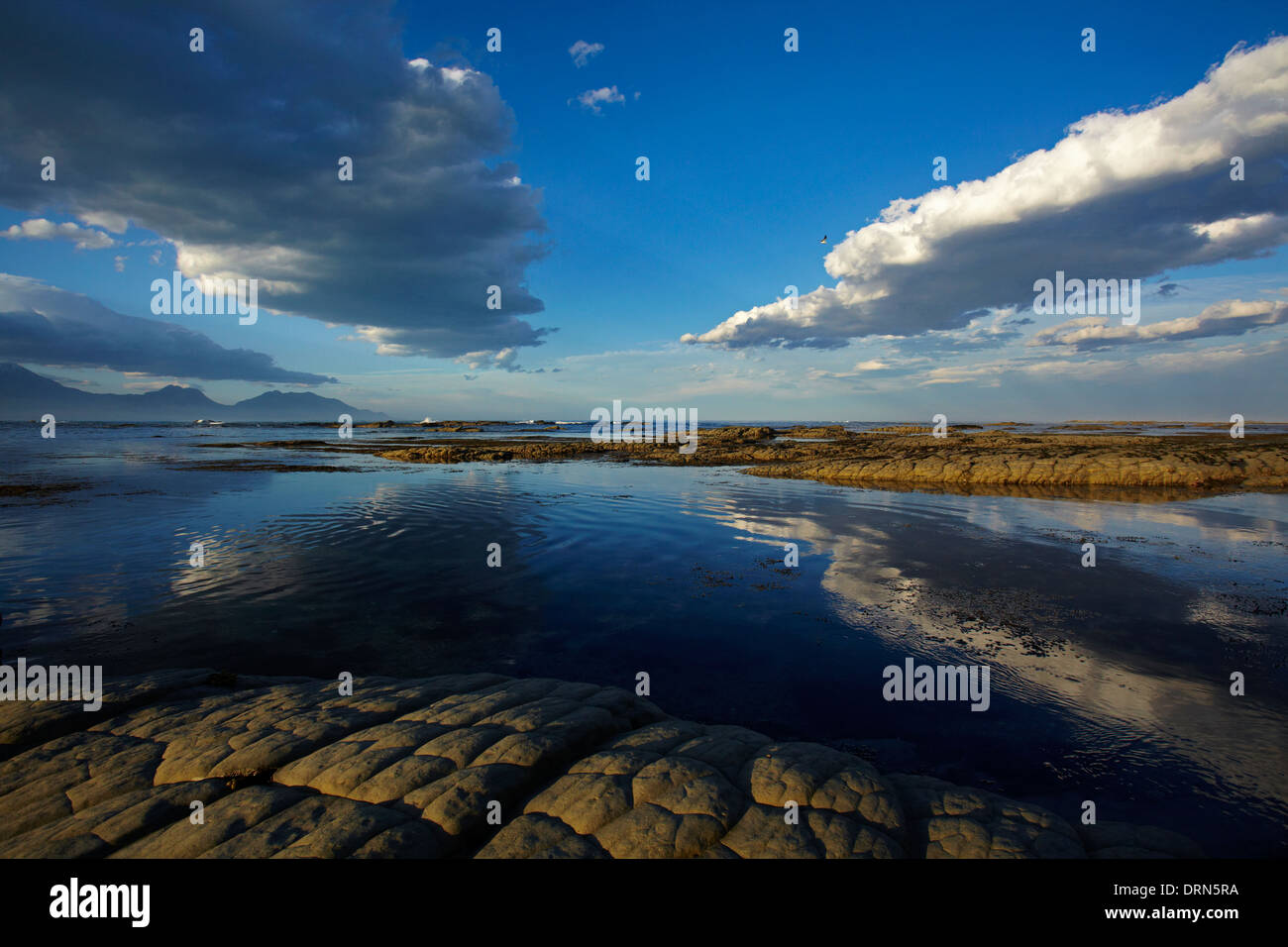 Seaward Kaikoura Ranges and clouds reflected in coastal tidal pools ...