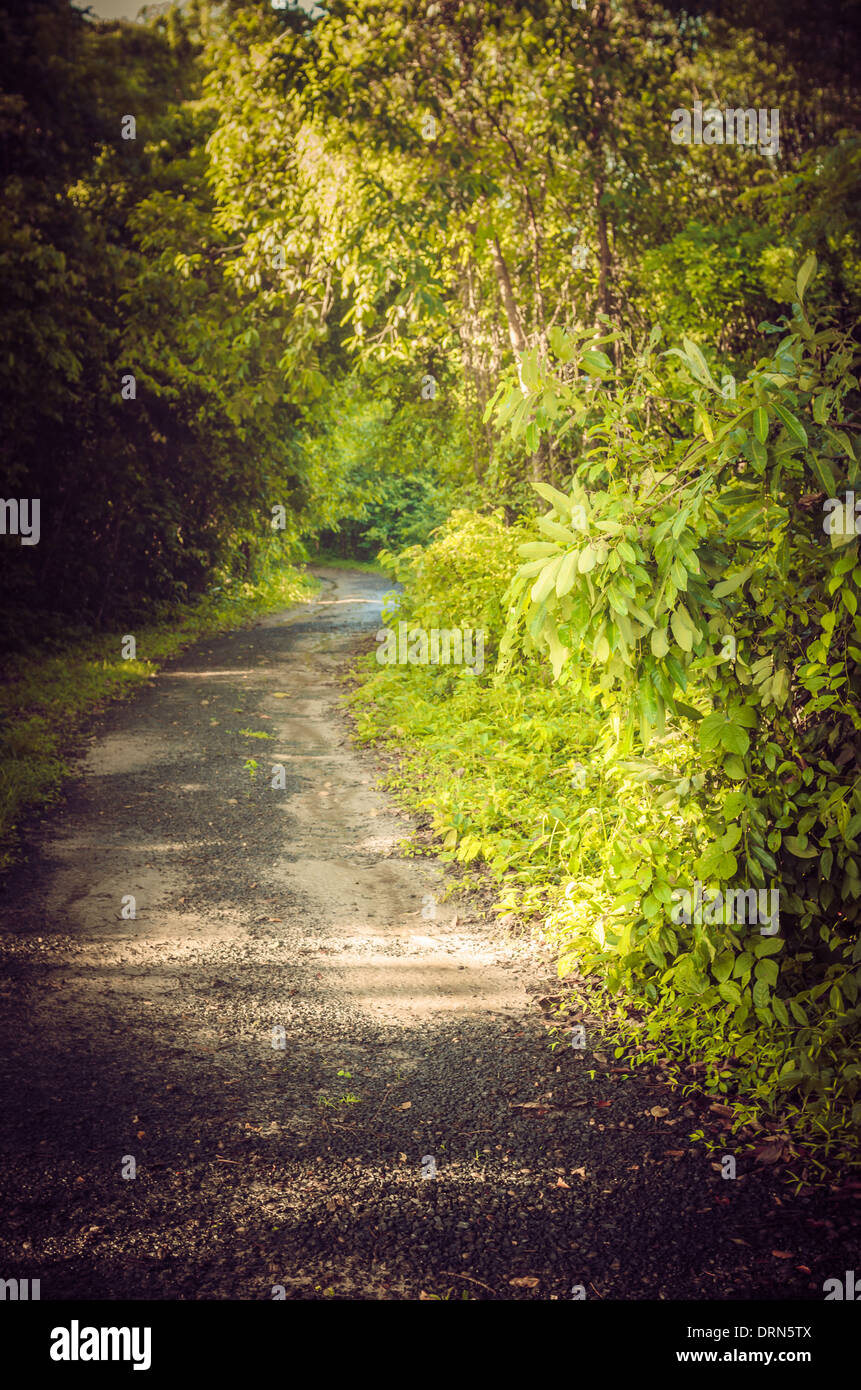 Soil road and grass meadow in countryside view nature Stock Photo - Alamy