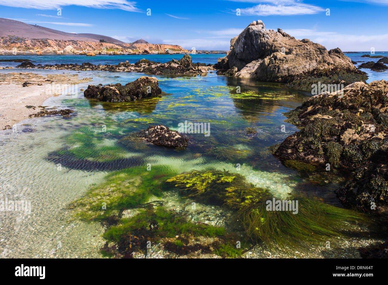 Tide pools at Estero Bluffs State Park, Cayucos, California USA Stock ...