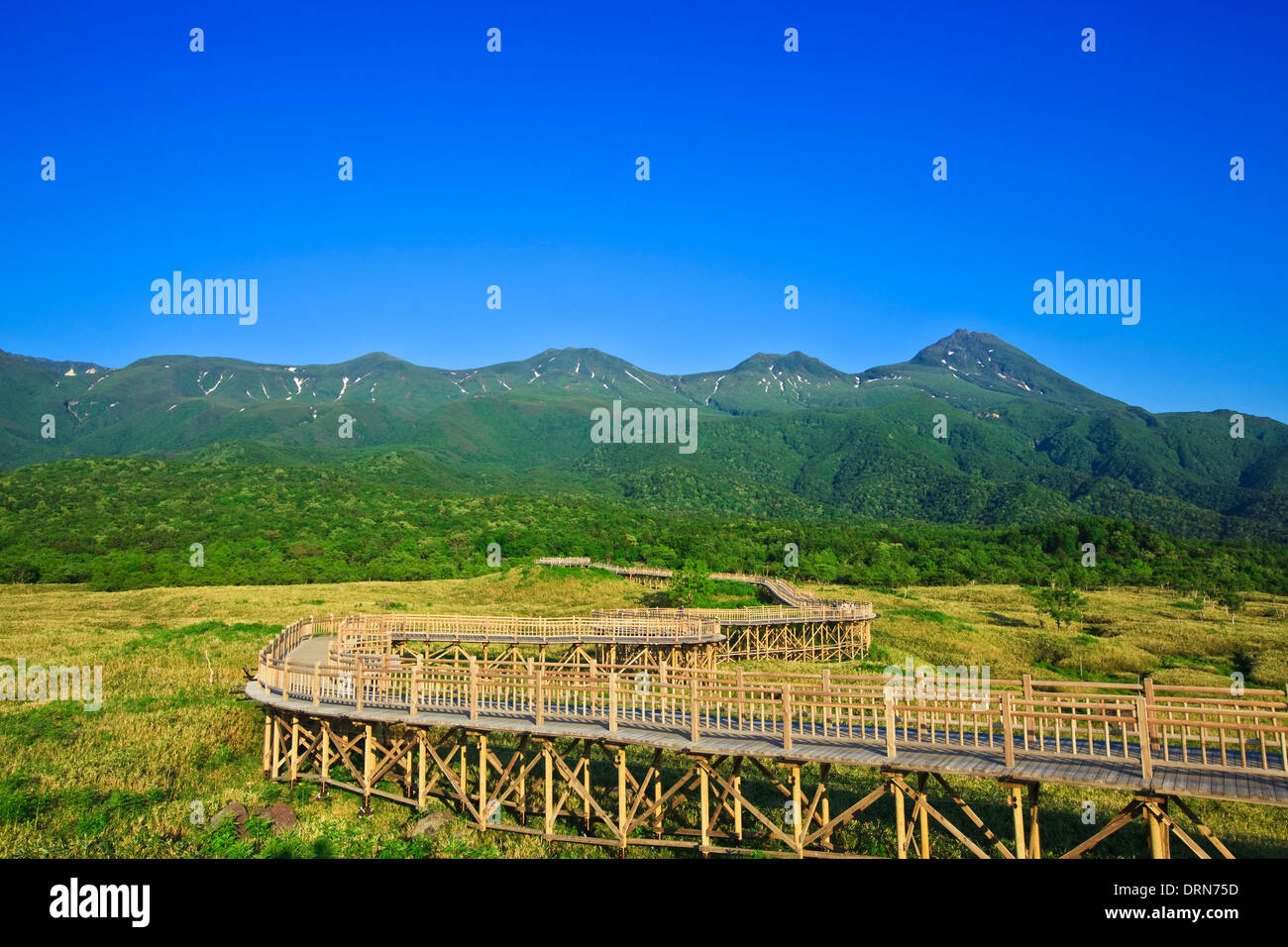 Shiretoko hi-res stock photography and images - Alamy