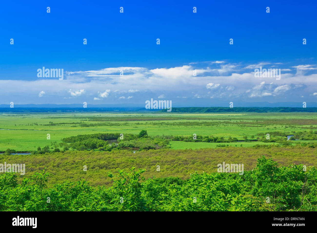 Kushiro Wetland, Kushiro, Hokkaido, Japan Stock Photo - Alamy