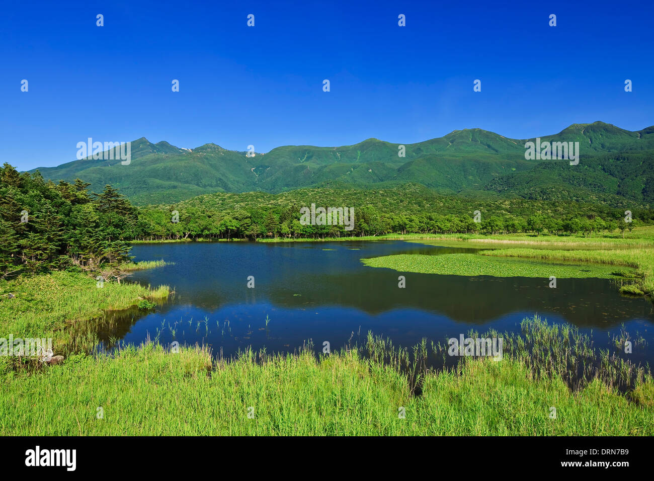 Shiretoko Stock Photos & Shiretoko Stock Images - Alamy