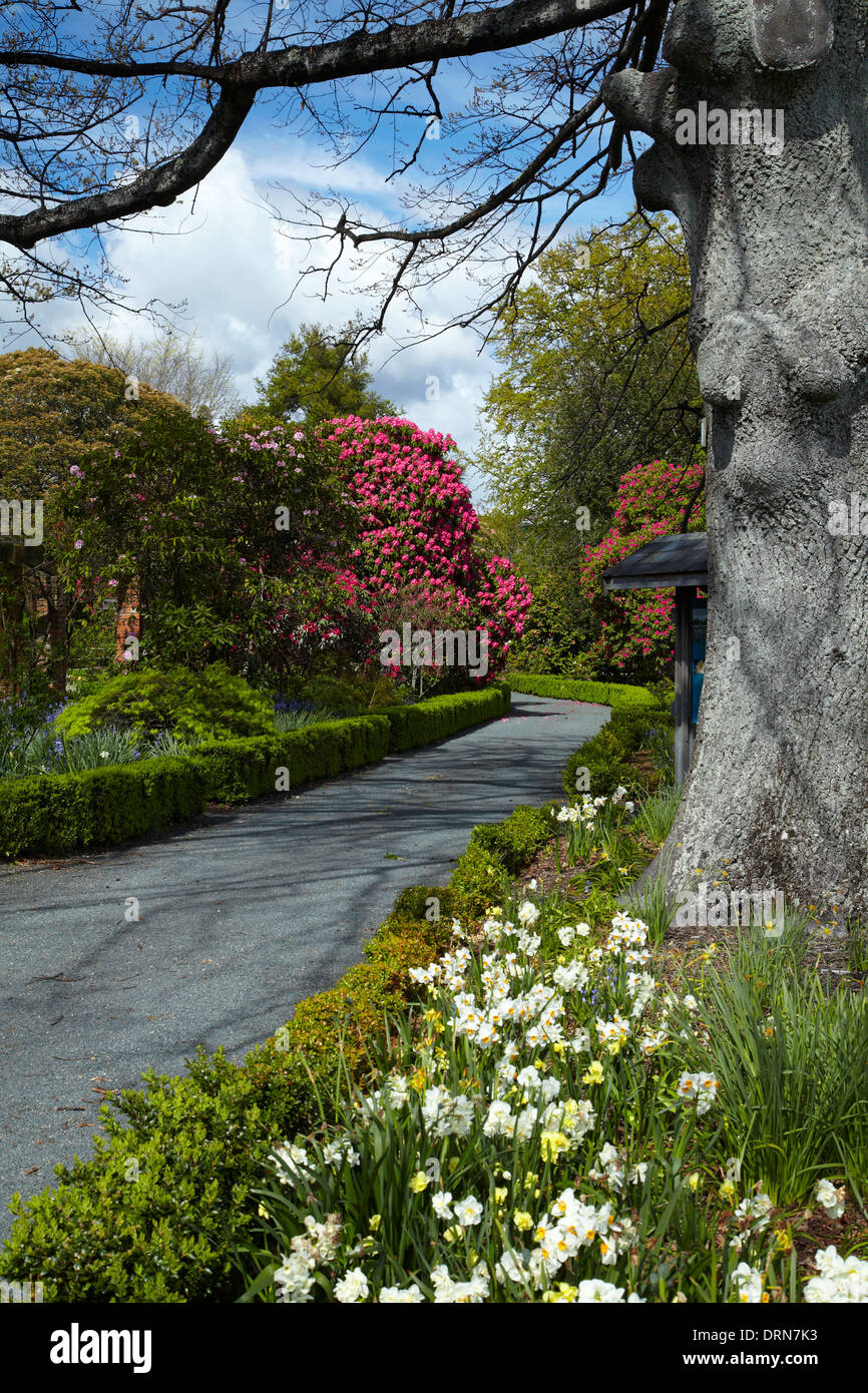 Nelson garden new zealand hi-res stock photography and images - Alamy