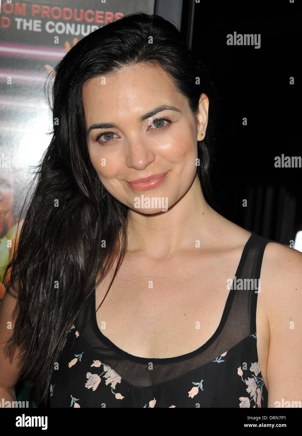 Los Angeles, California, USA. 29th Jan, 2014. Jules Wilcox attending ...