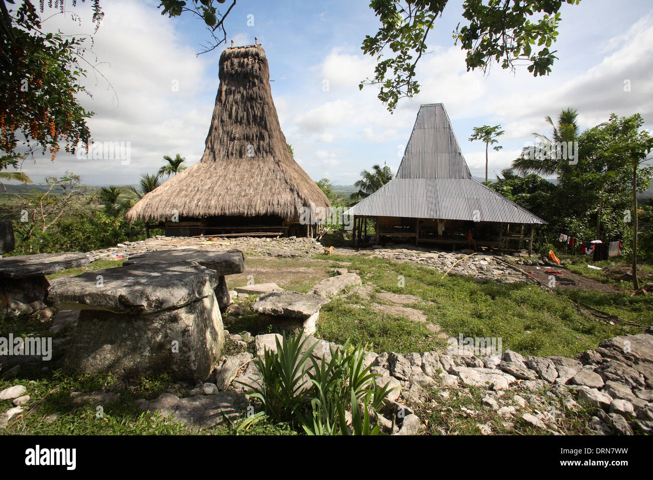 Scenes of rural life, villages and agriculture. Sumba - Indonesia - Nov ...