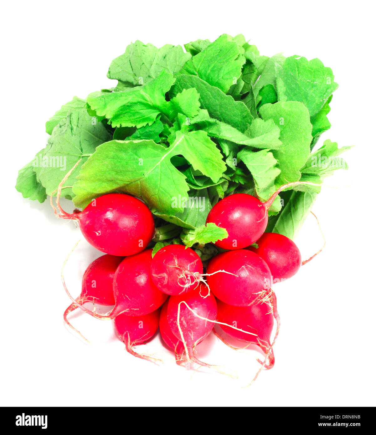 Sweet radish Cut Out Stock Images & Pictures - Alamy