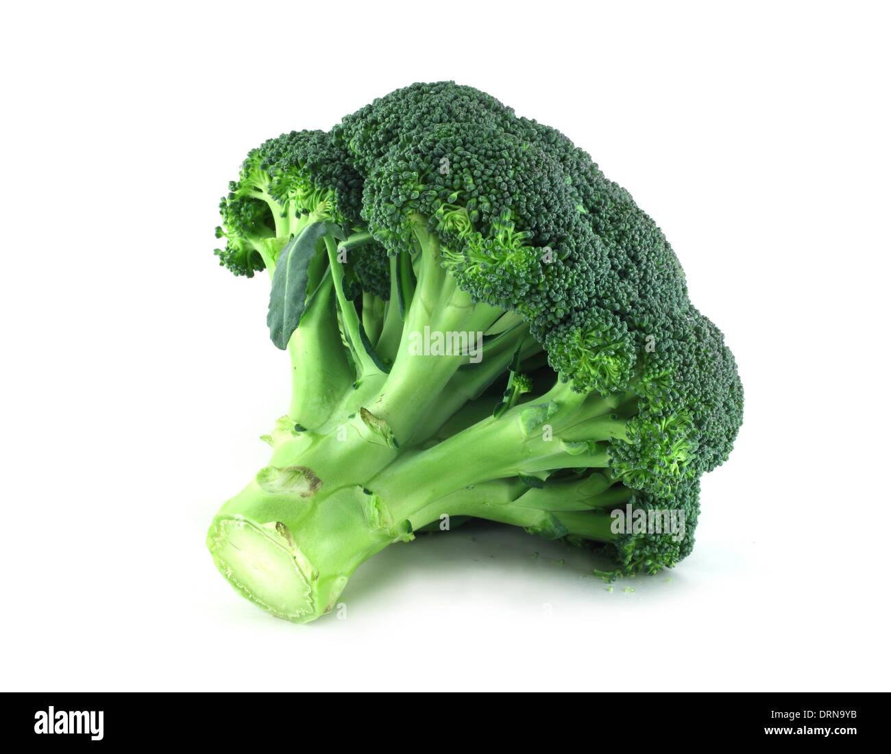 Broccoli on white Stock Photo - Alamy