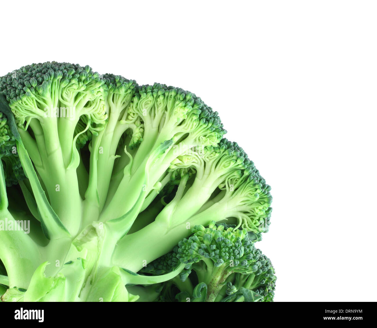 Broccoli on white Stock Photo - Alamy