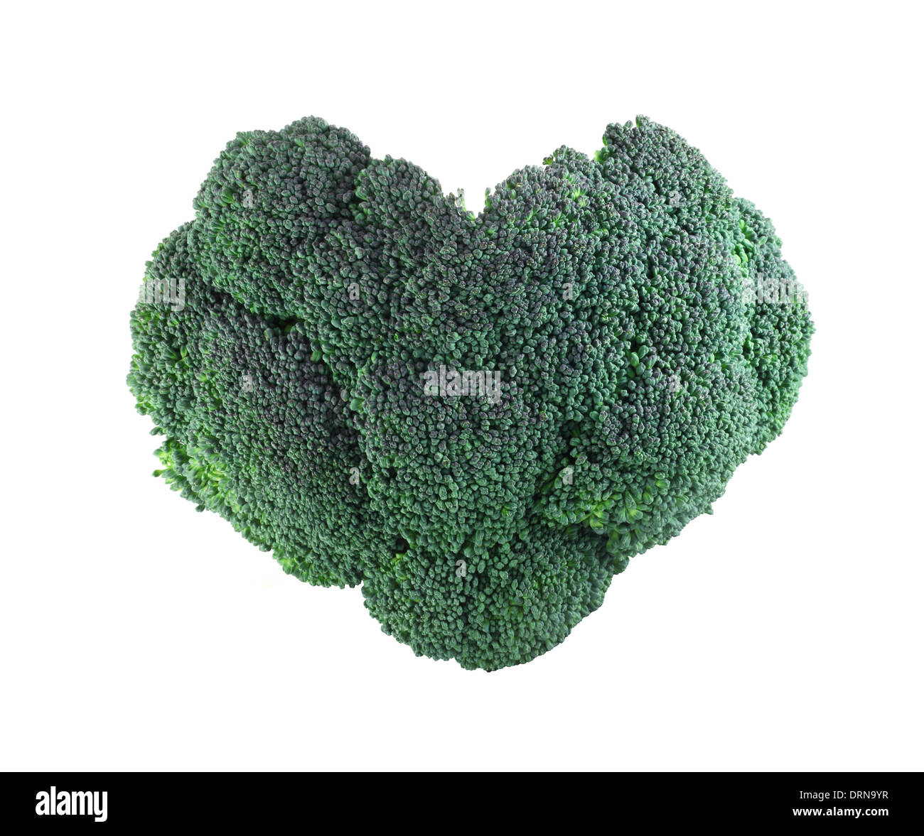 Broccoli shape hi-res stock photography and images - Alamy