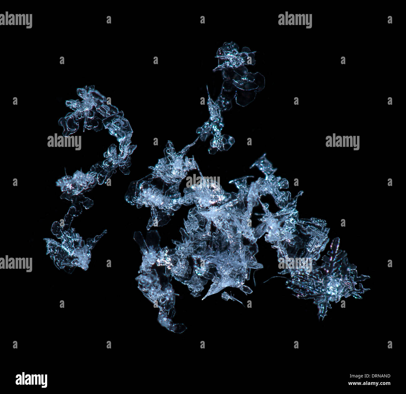 Black snowflakes hi-res stock photography and images - Alamy