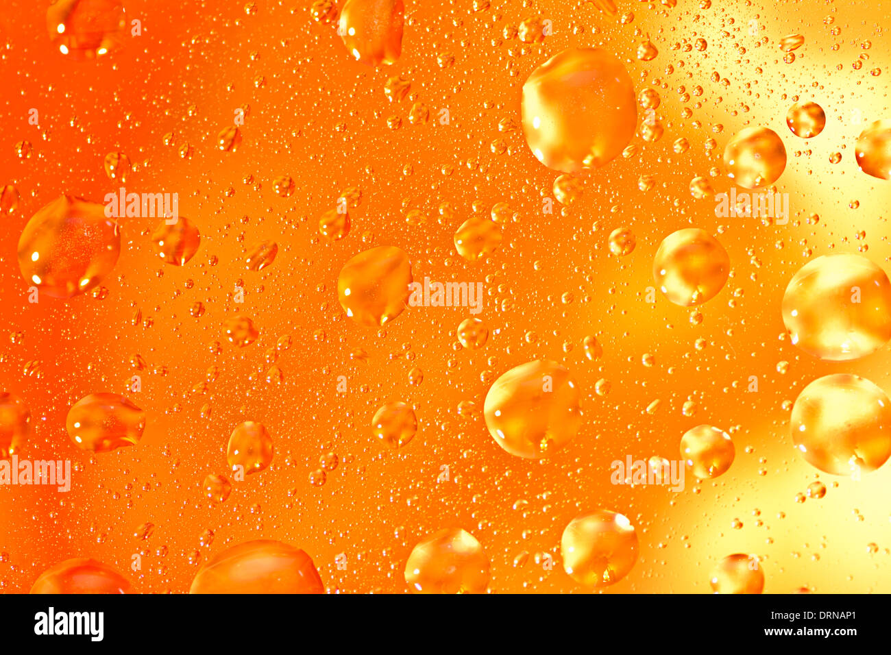 Orange background hi-res stock photography and images - Alamy