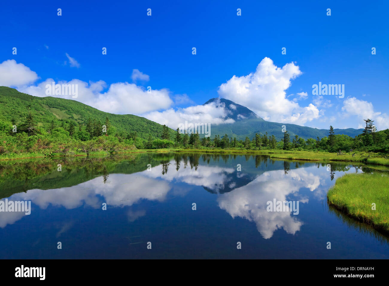 Shiretoko National Park and Mount Rausu Stock Photo - Alamy
