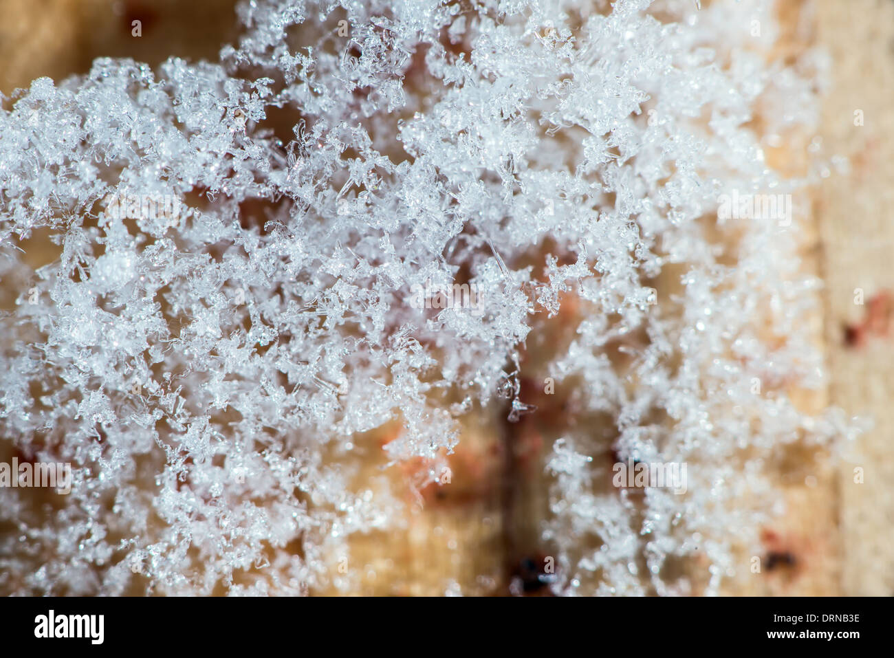 Snowflakes up close hi-res stock photography and images - Alamy