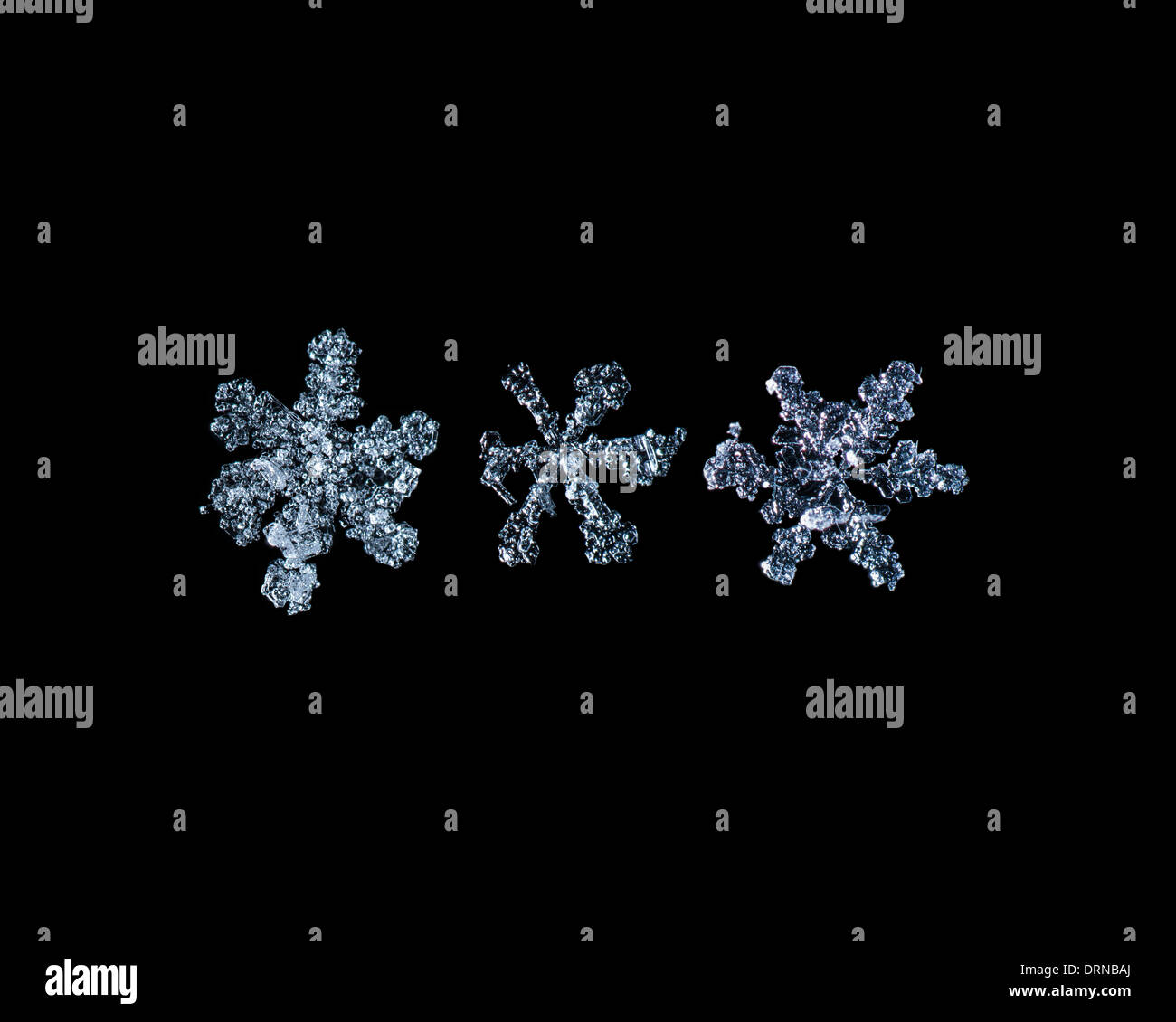 Snowflakes macro hi-res stock photography and images - Alamy