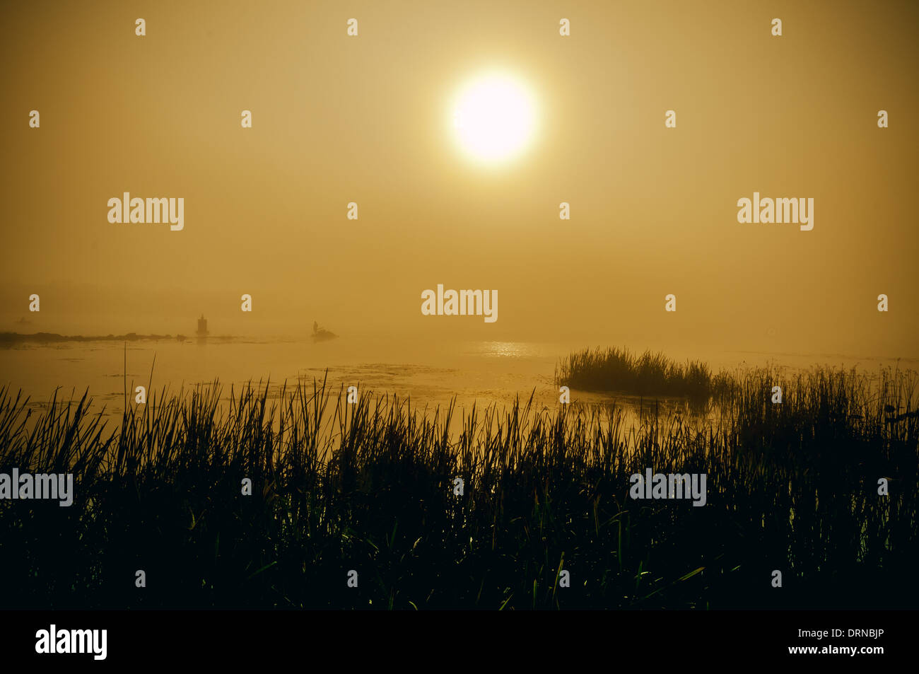 Dawn over river fog light hi-res stock photography and images - Alamy