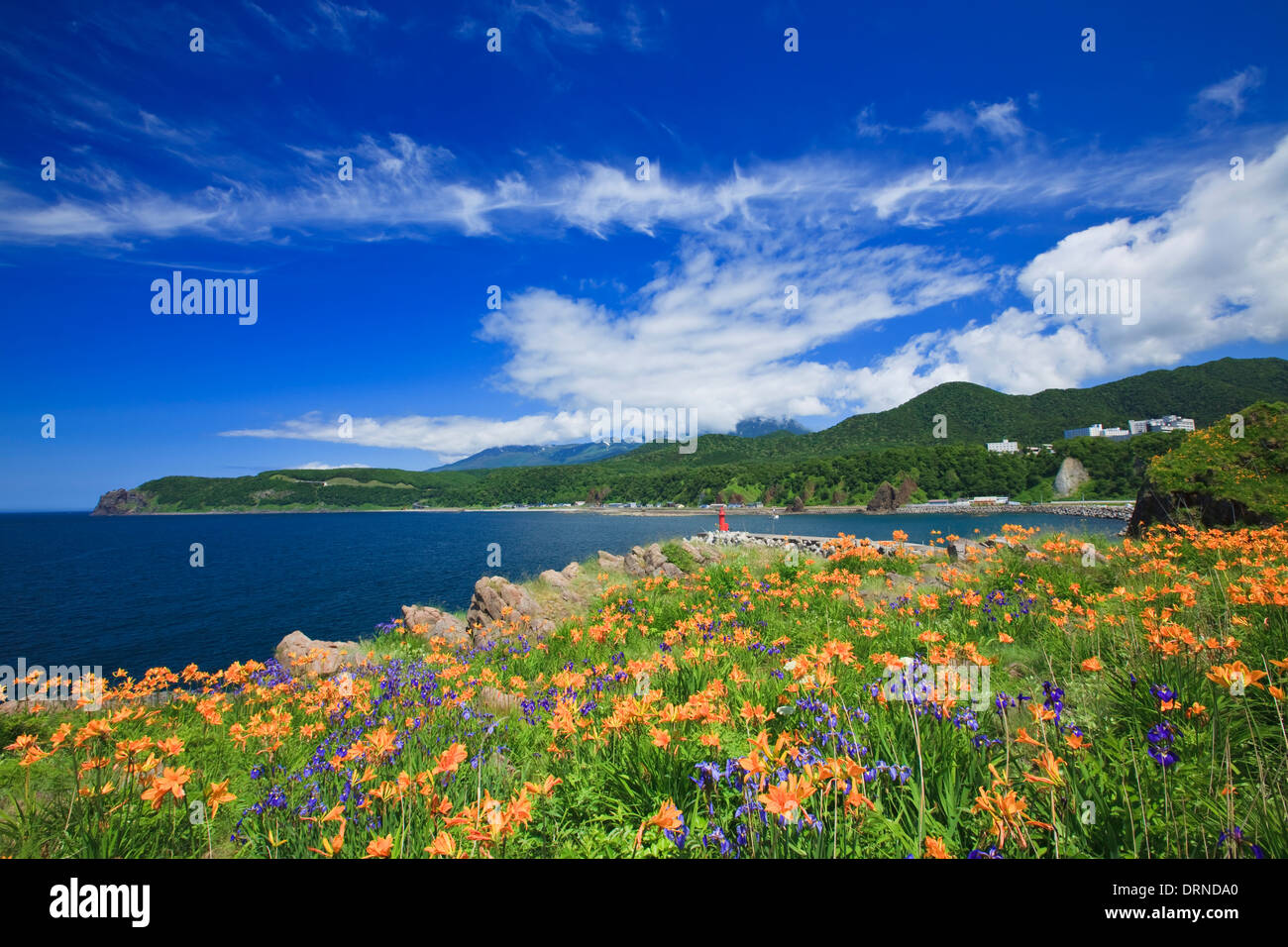 Shiretoko hi-res stock photography and images - Alamy