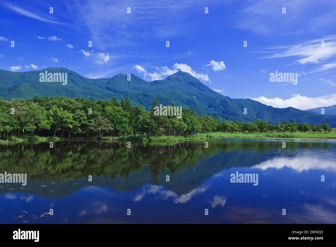 Shiretoko National Park Stock Photo - Alamy