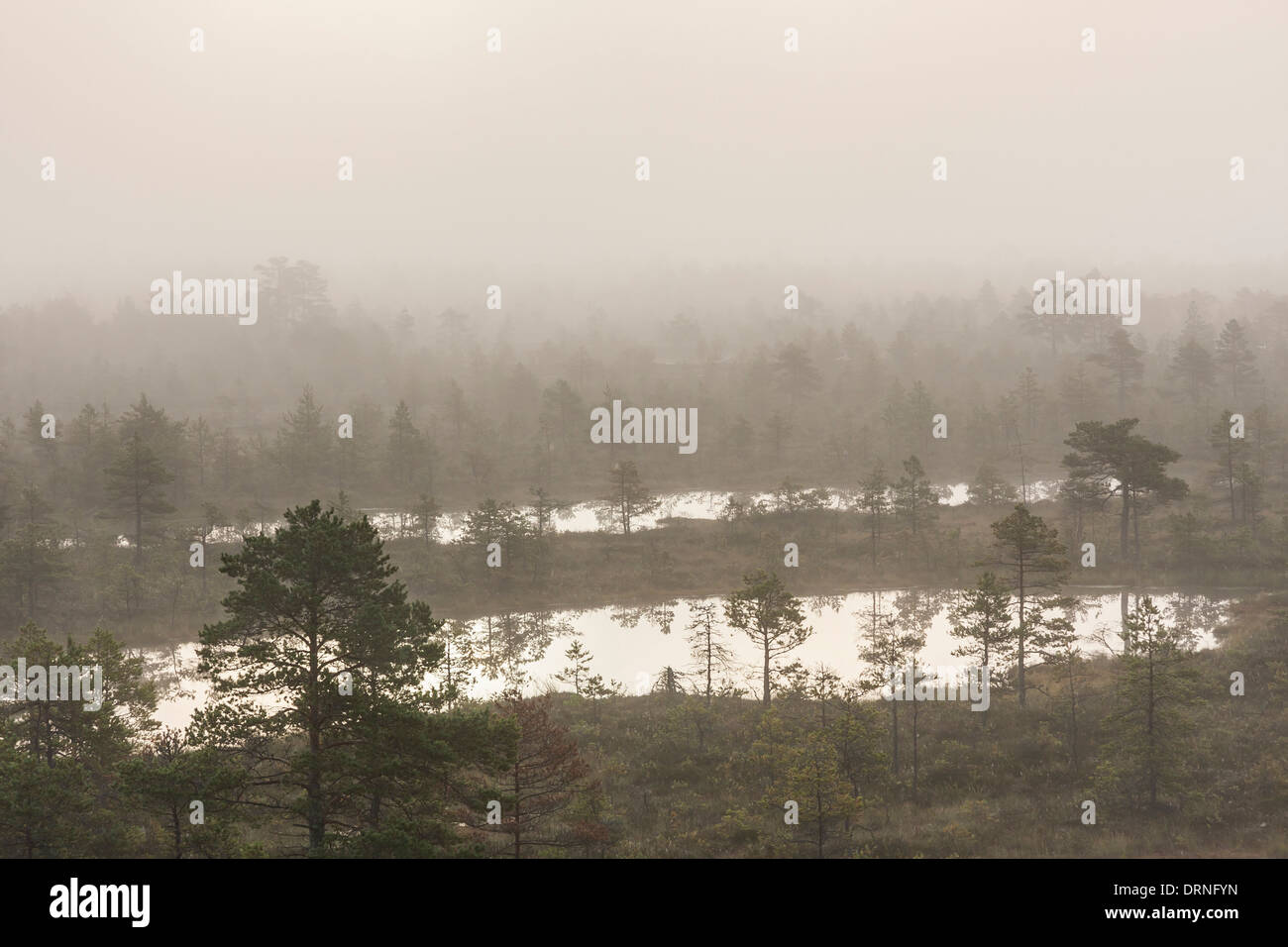 Marsh landscape hi-res stock photography and images - Alamy