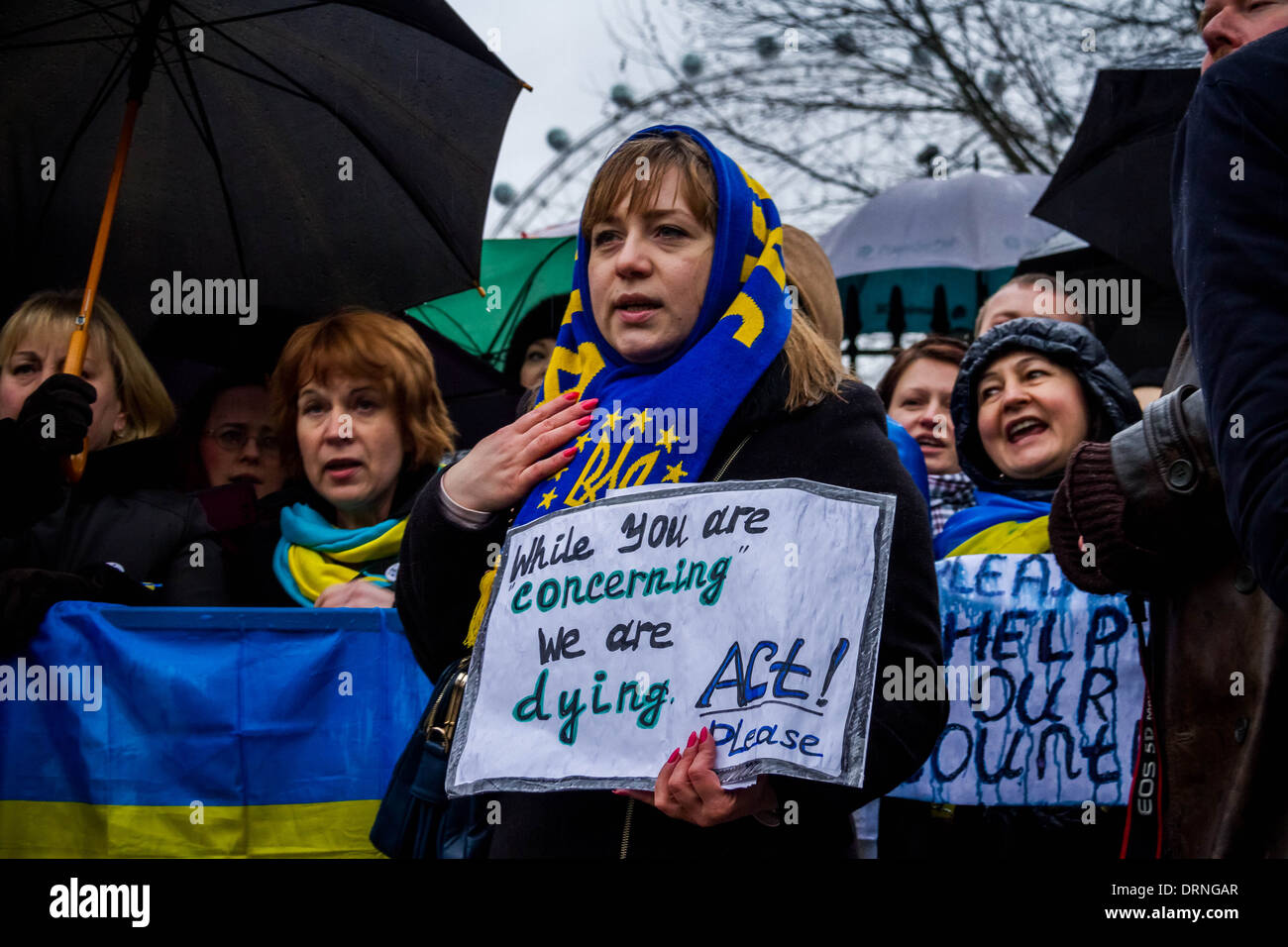 Ukrainian Euromaidan Protest on Whitehall in London Stock Photo - Alamy
