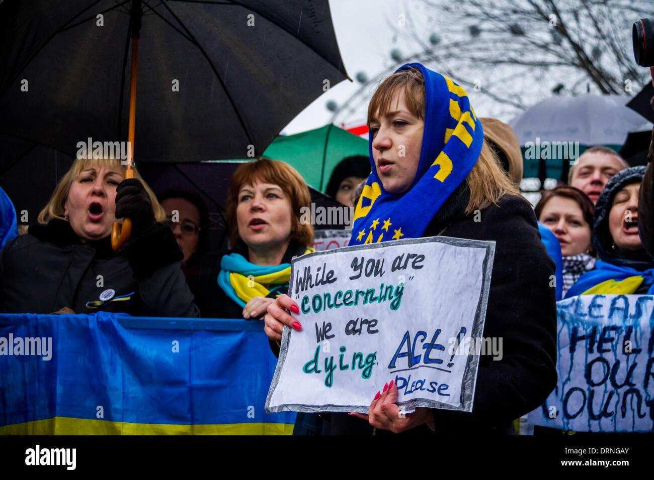 Ukrainian Euromaidan Protest on Whitehall in London Stock Photo - Alamy