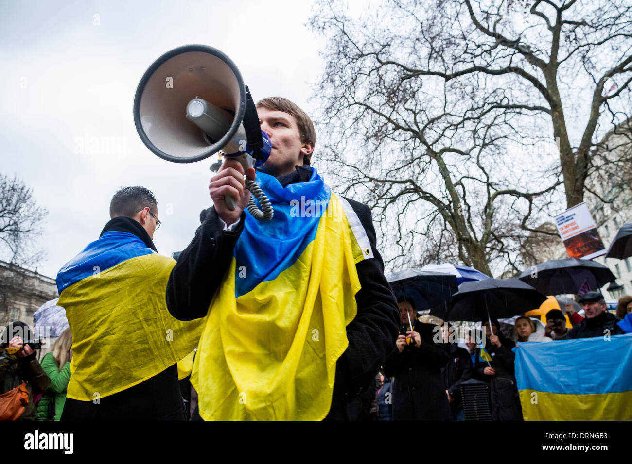 Ukrainian Euromaidan Protest on Whitehall in London Stock Photo - Alamy
