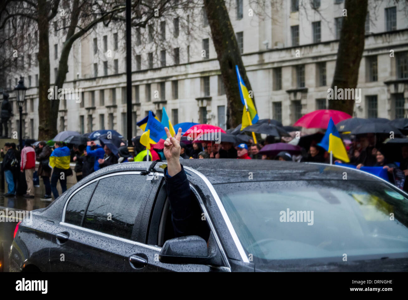 Ukrainian Euromaidan Protest on Whitehall in London Stock Photo - Alamy
